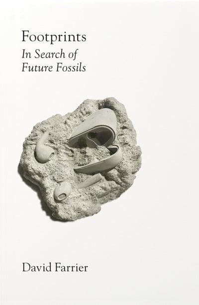 Footprints: In Search of Future Fossils by David Farrier – Shiny New Books