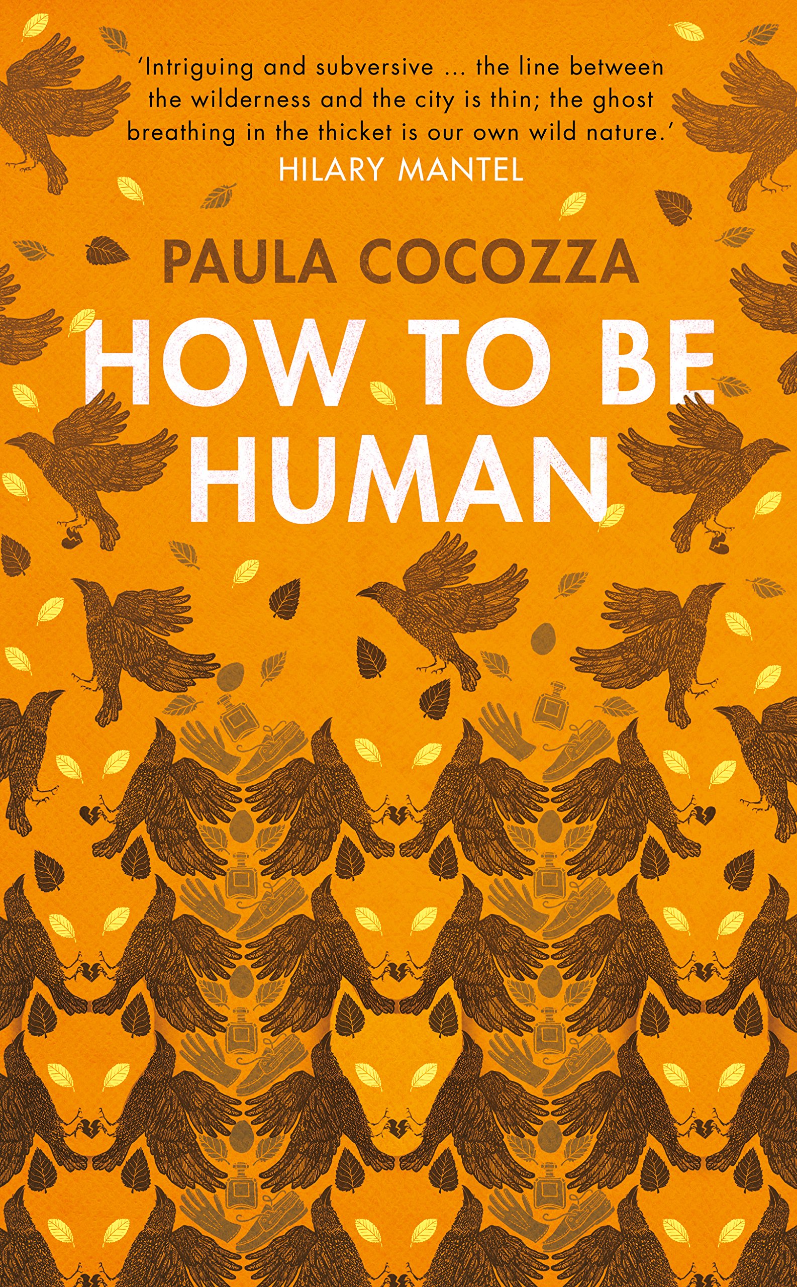 How to Be Human by Paula Cocozza – Shiny New Books
