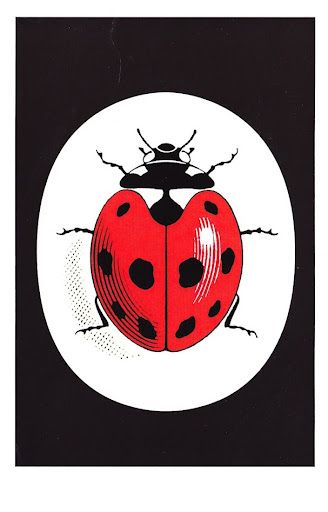 Celebrating the Centenary of Ladybird Books – Shiny New Books