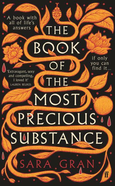 The Book of the Most Precious Substance, by Sara Gran – Shiny New Books