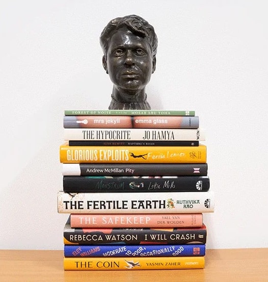 Shiny Prize Season 2025: Dylan Thomas Award longlist – Pity by Andrew ...